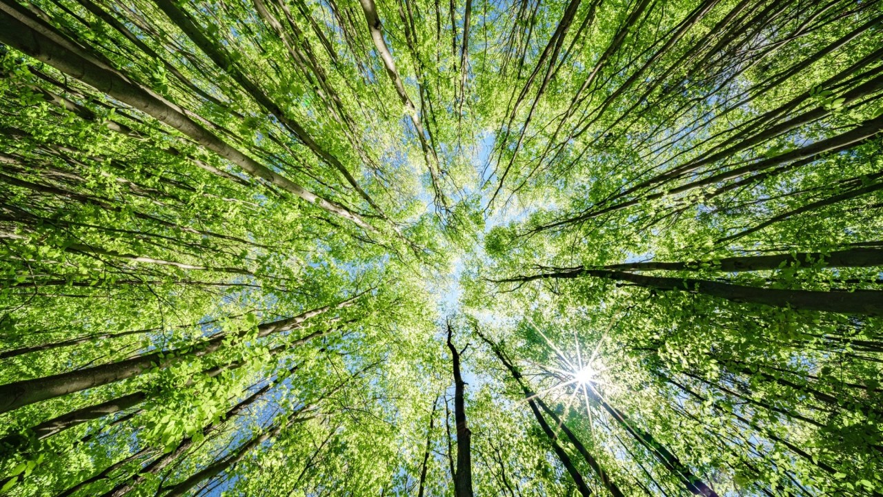 Six Sustainability Challenges Businesses Must Address in 2025 Six Sustainability Challenges Businesses Must Address in 2025