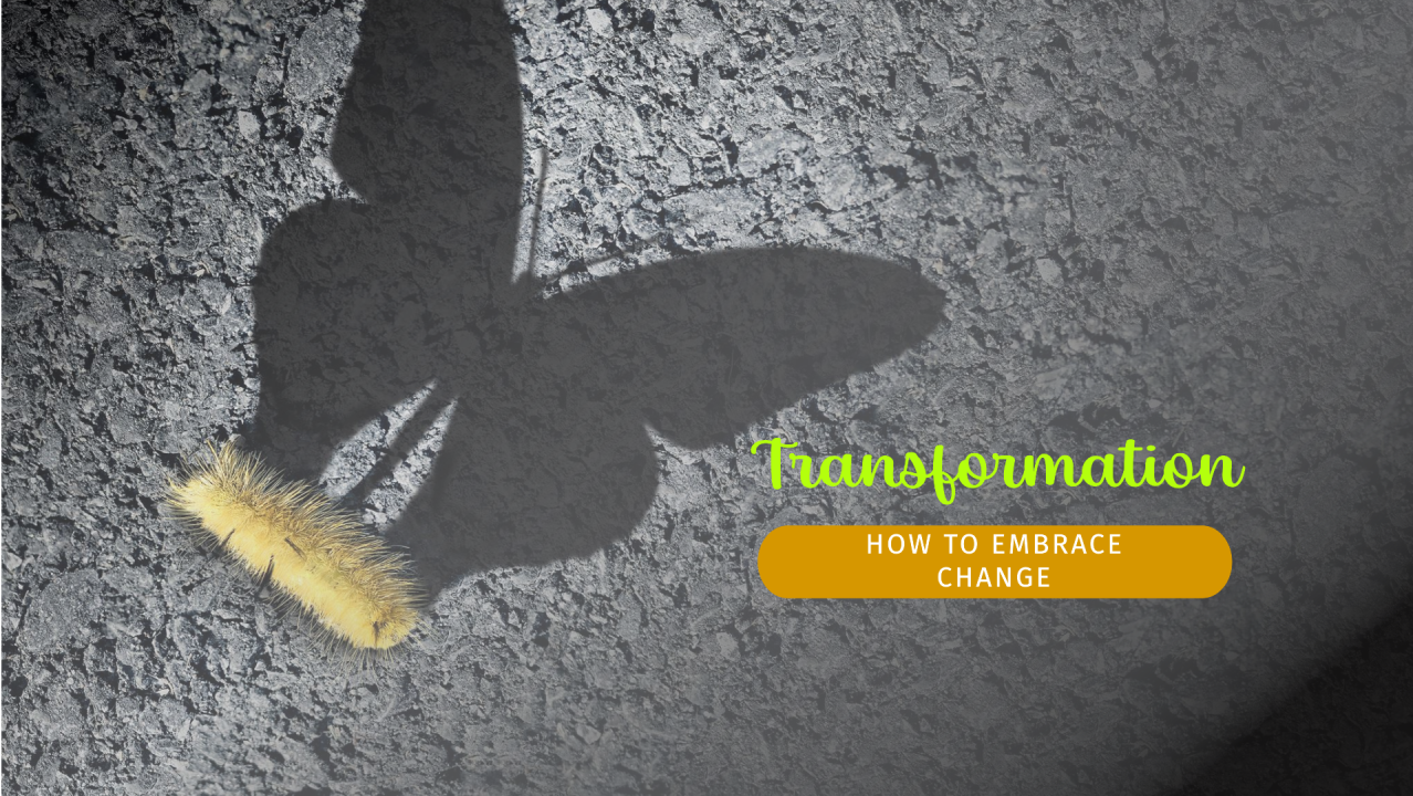 Transformation Does Not Have To Be Painful Transformation Does Not Have To Be Painful