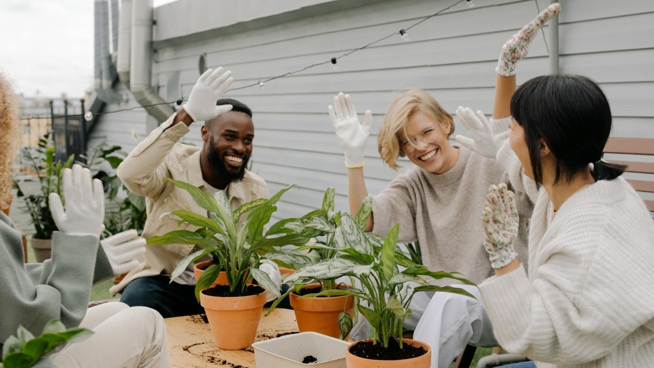 Why You Should Learn New Skills Why You Should Learn New Skills