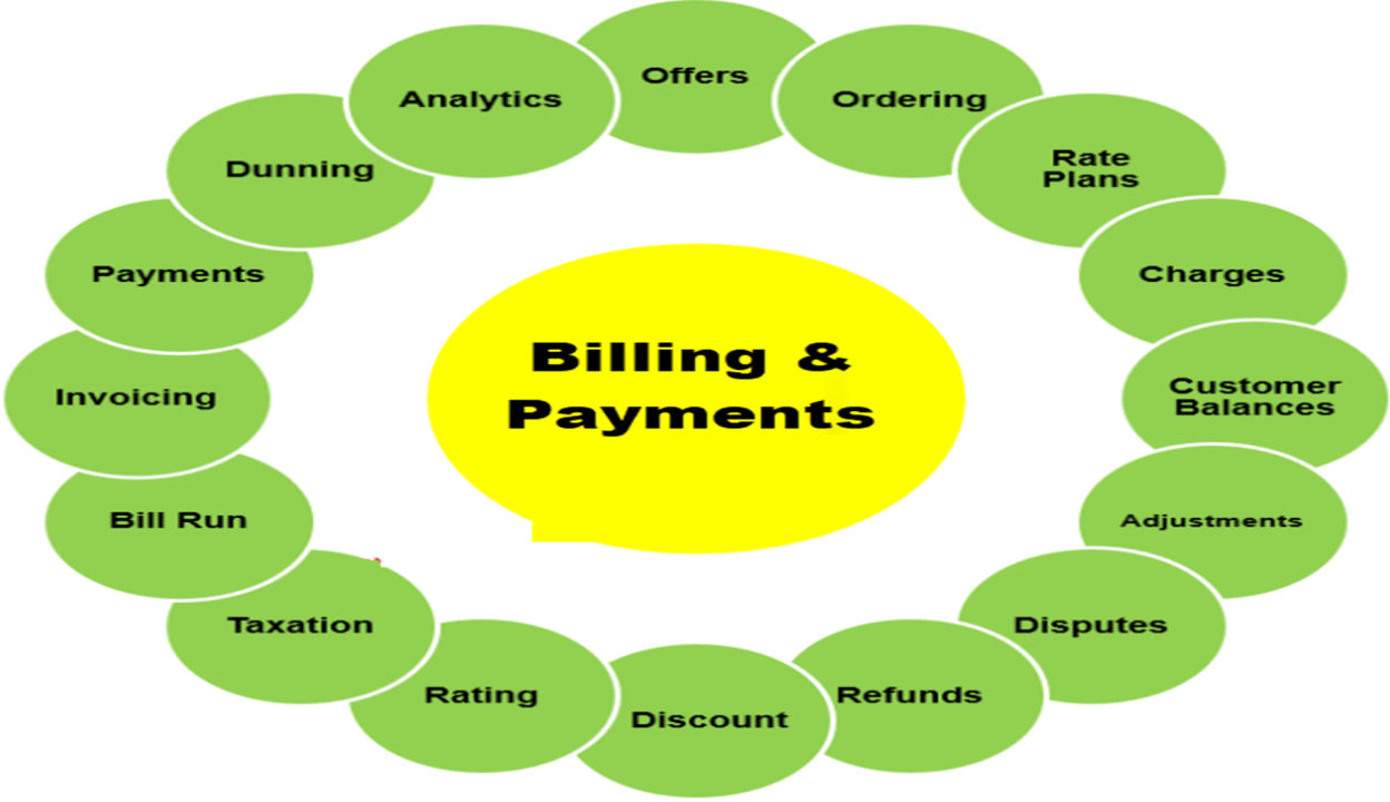 Mastering Project Management in the Billing and Payments Industry Mastering Project Management in the Billing and Payments Industry