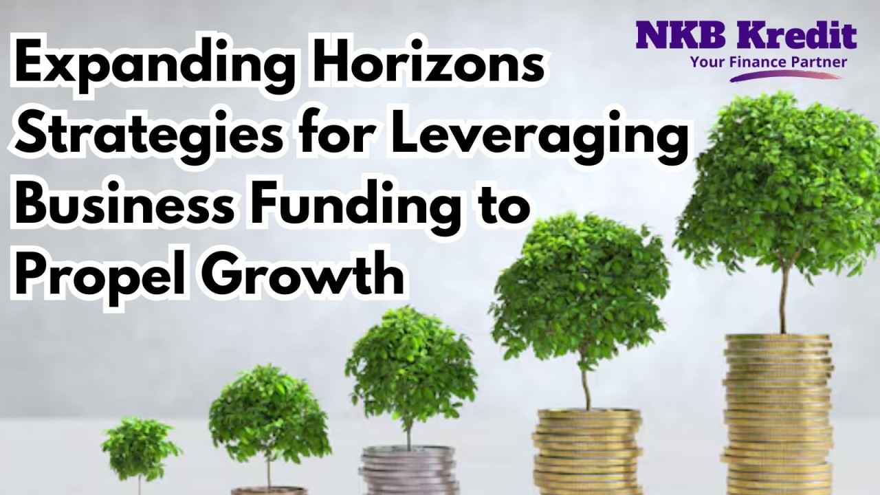 Expanding Horizons: Strategies for Leveraging Business Funding to ... Expanding Horizons: Strategies for Leveraging Business Funding to ...