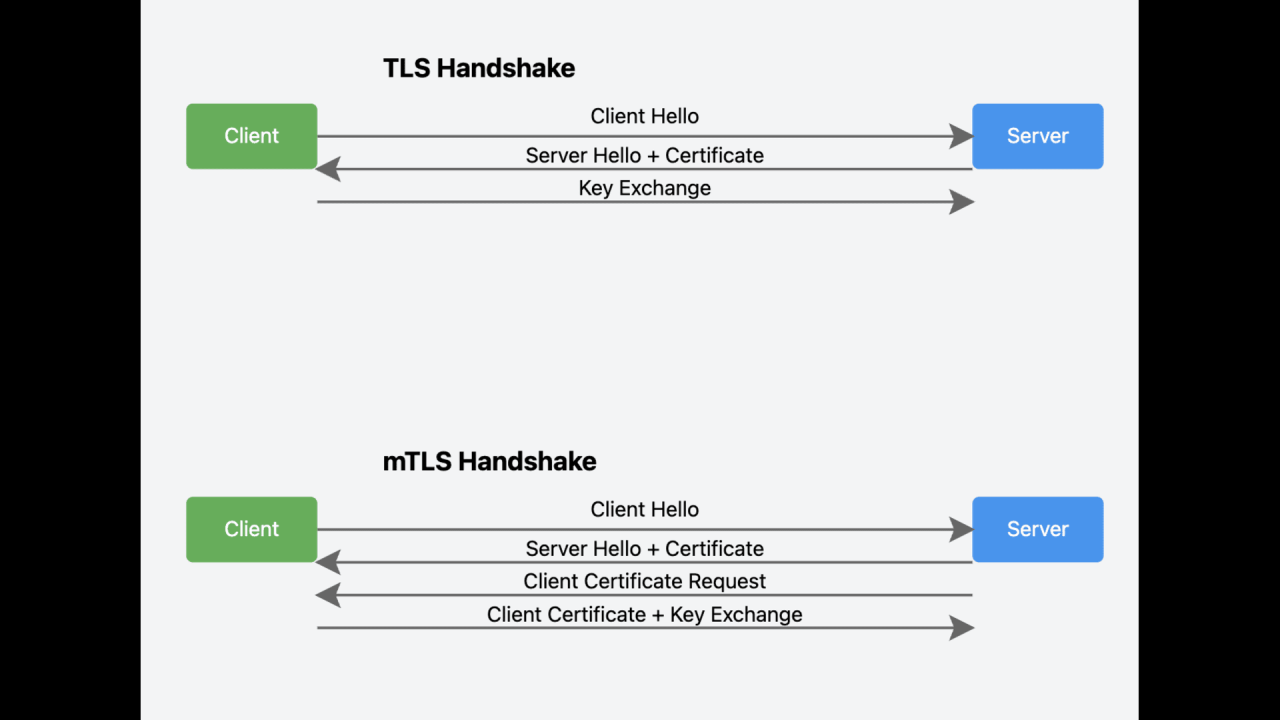 ๐ Understanding TLS vs mTLS ๐ Understanding TLS vs mTLS