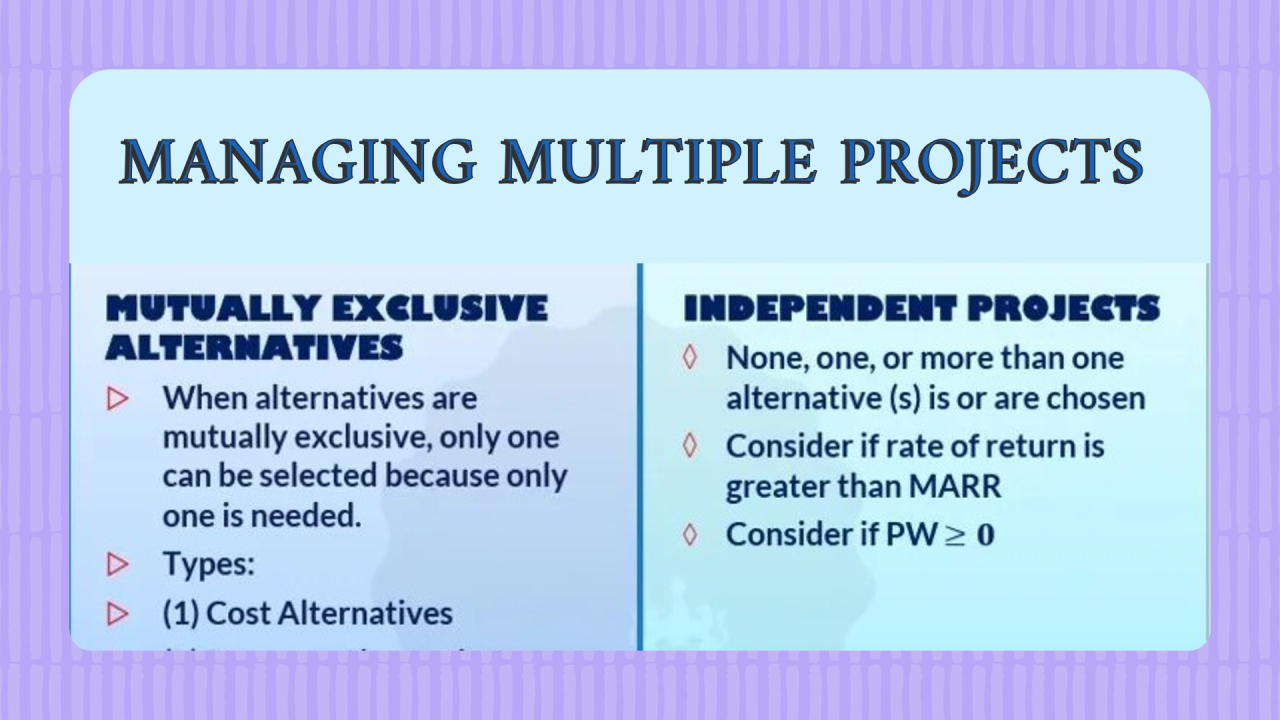 Implementing Multiple Projects, A Focus on Independent & Mutually ... Implementing Multiple Projects, A Focus on Independent & Mutually ...