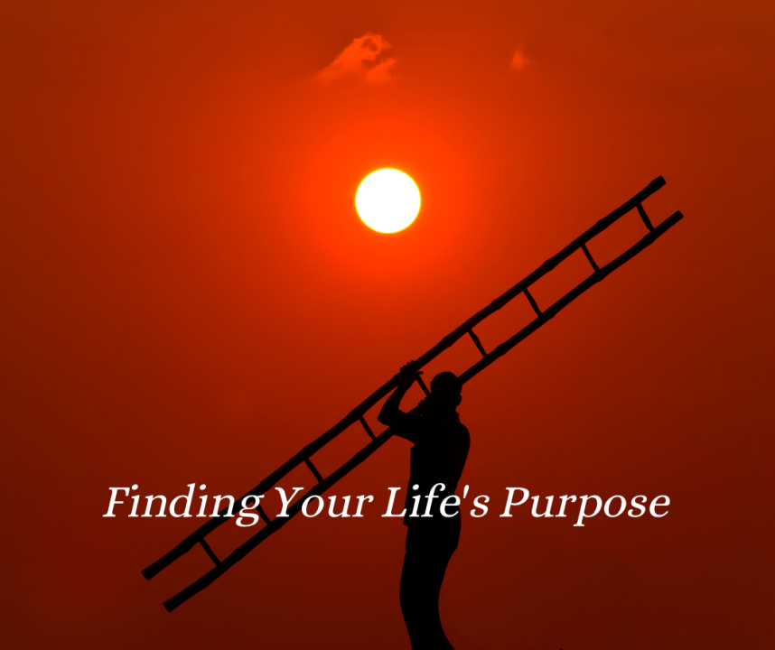 Understanding Your Purpose Understanding Your Purpose