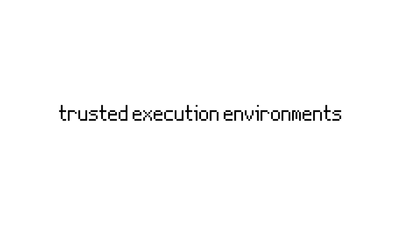 Trusted Execution Environments: Enhance Blockchain Security Trusted Execution Environments: Enhance Blockchain Security