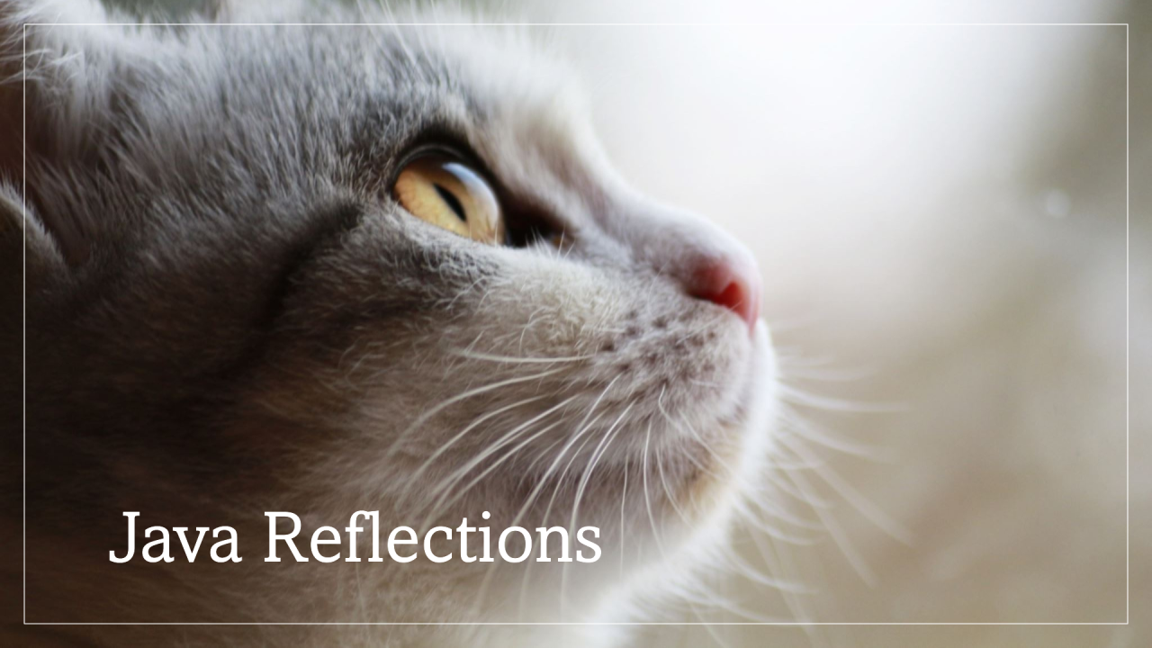 Java Reflection API Java Reflection API