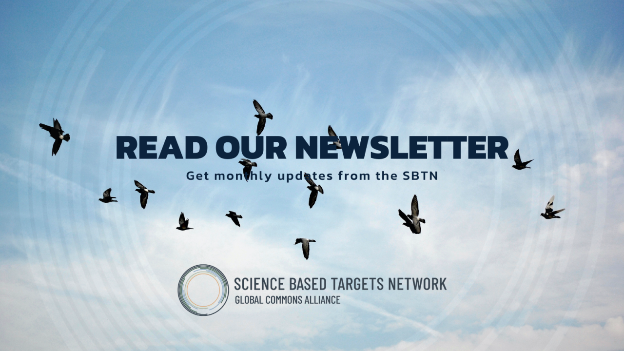 Scaling action for nature - target validation now open Scaling action for nature - target validation now open