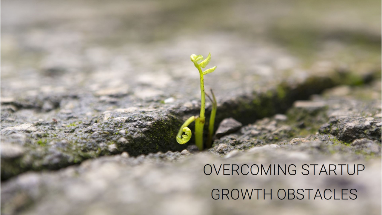 ## Navigating the Treacherous Terrain: Major Growth Obstacles for Startups ## Navigating the Treacherous Terrain: Major Growth Obstacles for Startups