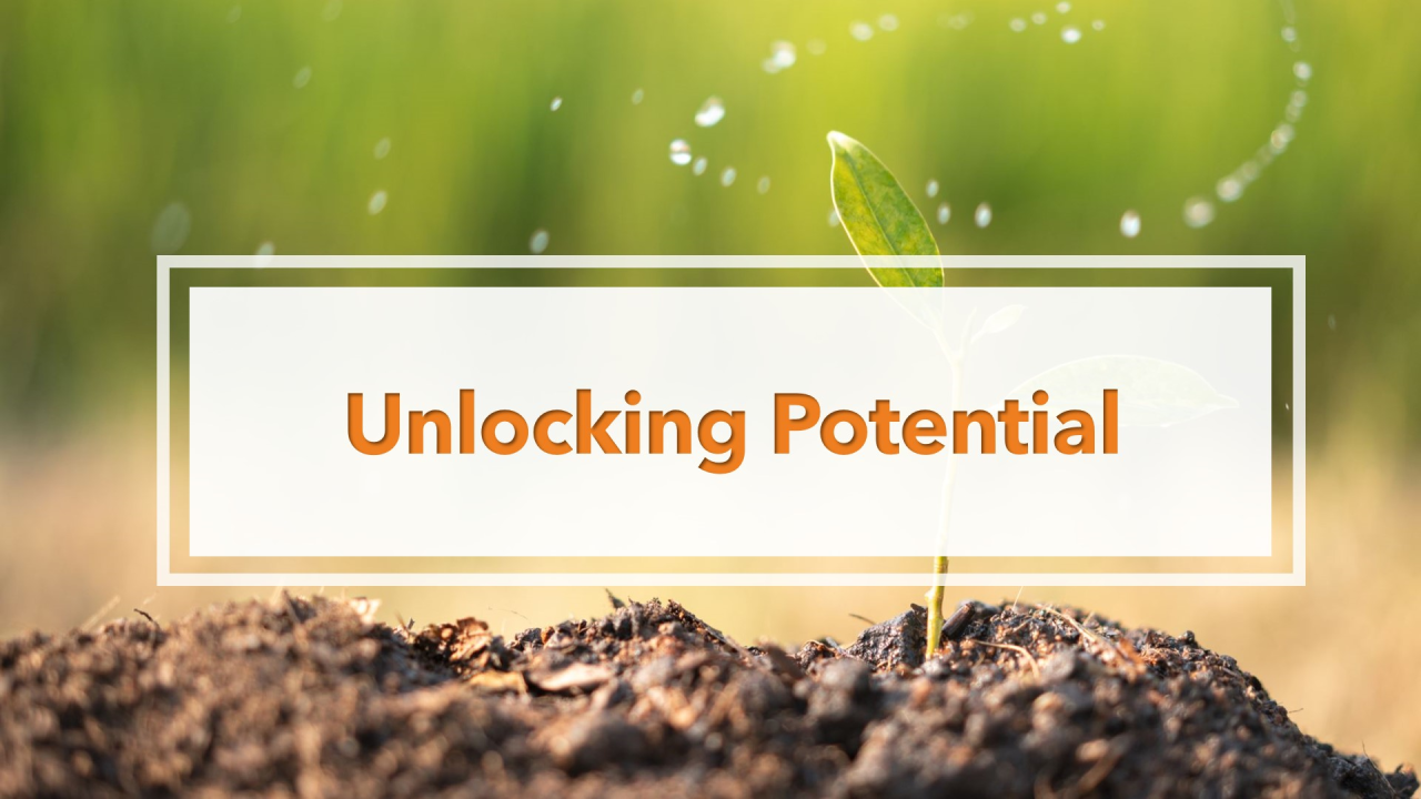 Challenging the Myth of the “Fixed Mindset”: Unlocking Potential in ... Challenging the Myth of the “Fixed Mindset”: Unlocking Potential in ...
