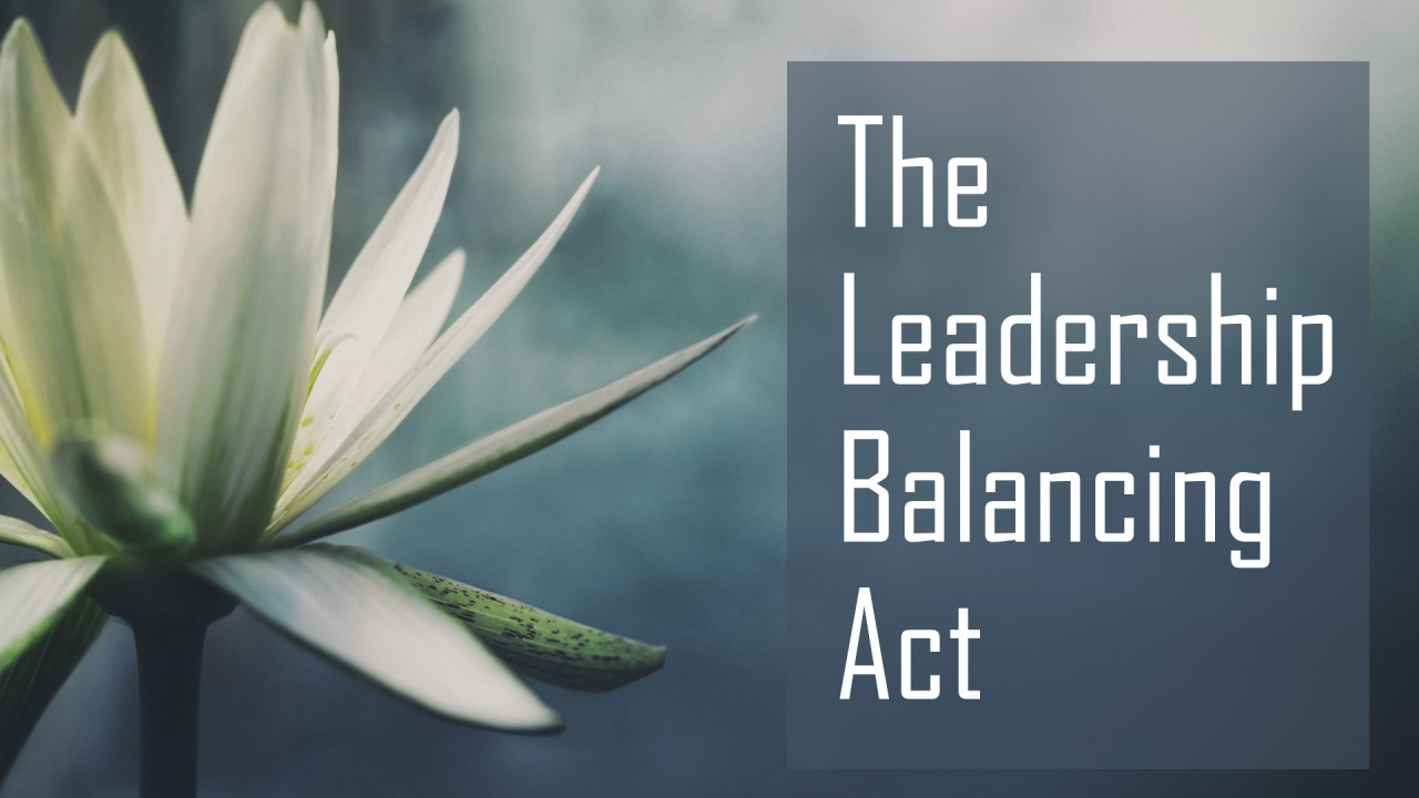 The Leadership Balancing Act: Governance vs. Agility in Enterprise Projects The Leadership Balancing Act: Governance vs. Agility in Enterprise Projects