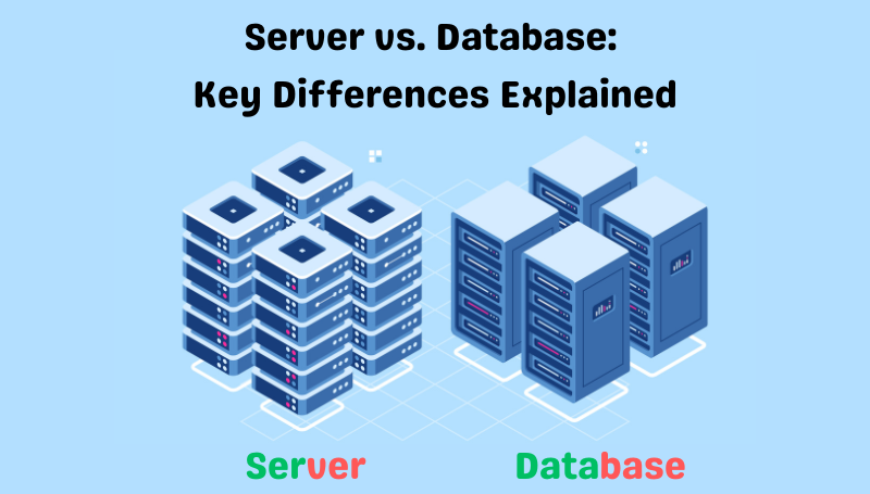 Server vs. Database: Key Differences Explained 📊💻 Server vs. Database: Key Differences Explained 📊💻