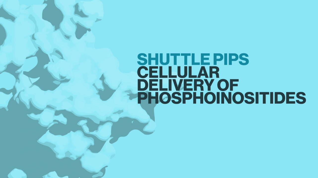 Lipid Cellular Delivery Solved! Lipid Cellular Delivery Solved!