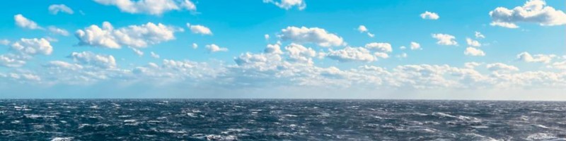 Shaurya Singh Negi - 3rd Assistant Engineer - Seapeak | LinkedIn Shaurya Singh Negi - 3rd Assistant Engineer - Seapeak | LinkedIn