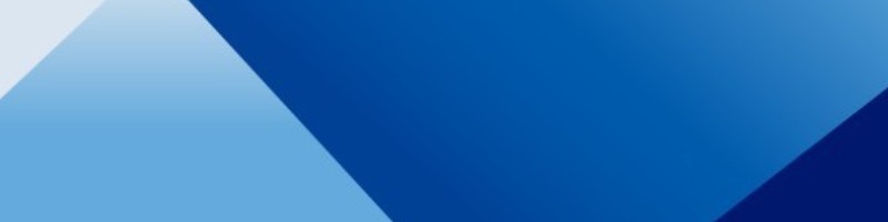 Deepjyoti Das - Manager - Investment Strategy Consulting - NRI (Nomura ... Deepjyoti Das - Manager - Investment Strategy Consulting - NRI (Nomura ...