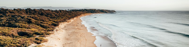 Tiarne Shutt - Board Member - B Lab Australia and Aotearoa New Zealand ... Tiarne Shutt - Board Member - B Lab Australia and Aotearoa New Zealand ...