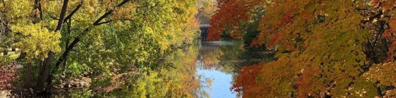 Annabelle Koras - Intern - Shared Pregnancy Women's Center | LinkedIn Annabelle Koras - Intern - Shared Pregnancy Women's Center | LinkedIn