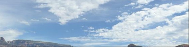 Rajiv Ranjan Pandey - Argosy University Washington, DC - Orlando ... Rajiv Ranjan Pandey - Argosy University Washington, DC - Orlando ...