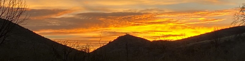 Matthew Redekop - Small Business Owner - SYCAMORE SPRINGS RANCH | LinkedIn Matthew Redekop - Small Business Owner - SYCAMORE SPRINGS RANCH | LinkedIn