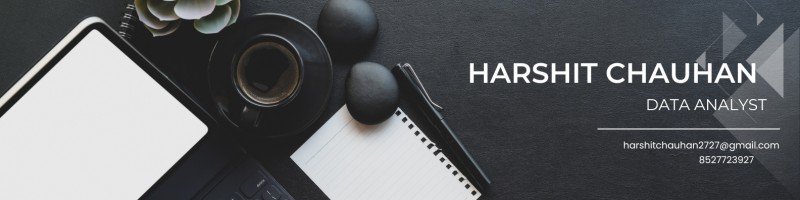 Harshit Chauhan - Data Analyst - Tagbin | LinkedIn Harshit Chauhan - Data Analyst - Tagbin | LinkedIn