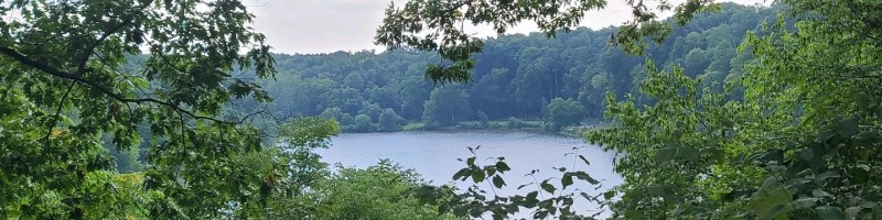 Robert DiDomenico - Canfield, Ohio, United States | Professional ... Robert DiDomenico - Canfield, Ohio, United States | Professional ...