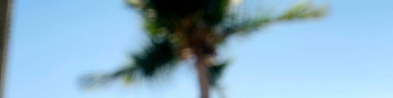 Jayesh Jadhav - Navi Mumbai, Maharashtra, India | Professional Profile ... Jayesh Jadhav - Navi Mumbai, Maharashtra, India | Professional Profile ...