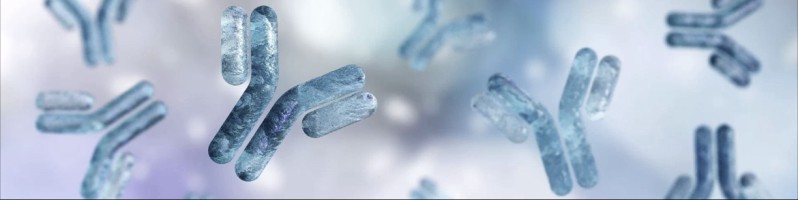 Savannah Duke, PharmD on LinkedIn: FDA Grants Priority Review to Merck ... Savannah Duke, PharmD on LinkedIn: FDA Grants Priority Review to Merck ...