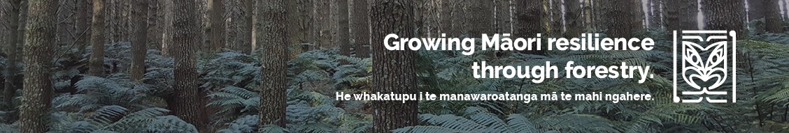 Ngā Pou a Tāne | LinkedIn Ngā Pou a Tāne | LinkedIn
