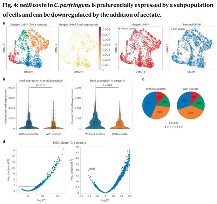 Frank Bernier, PhD, MSc, CIP on LinkedIn: #ms #microbiome #neuroscience ... Frank Bernier, PhD, MSc, CIP on LinkedIn: #ms #microbiome #neuroscience ...