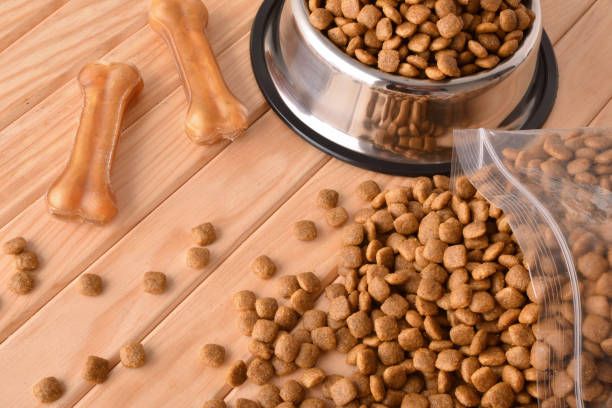 Preeti Yadav on LinkedIn: Project Report: Setting up a Pet food ... Preeti Yadav on LinkedIn: Project Report: Setting up a Pet food ...