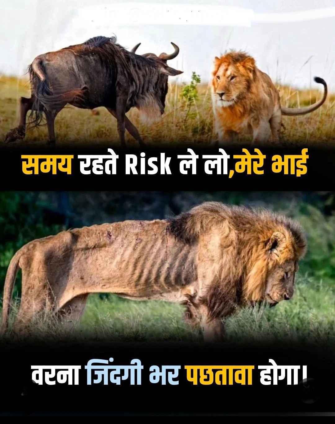 Akshay Patel on LinkedIn: try to understand 💪 Akshay Patel on LinkedIn: try to understand 💪