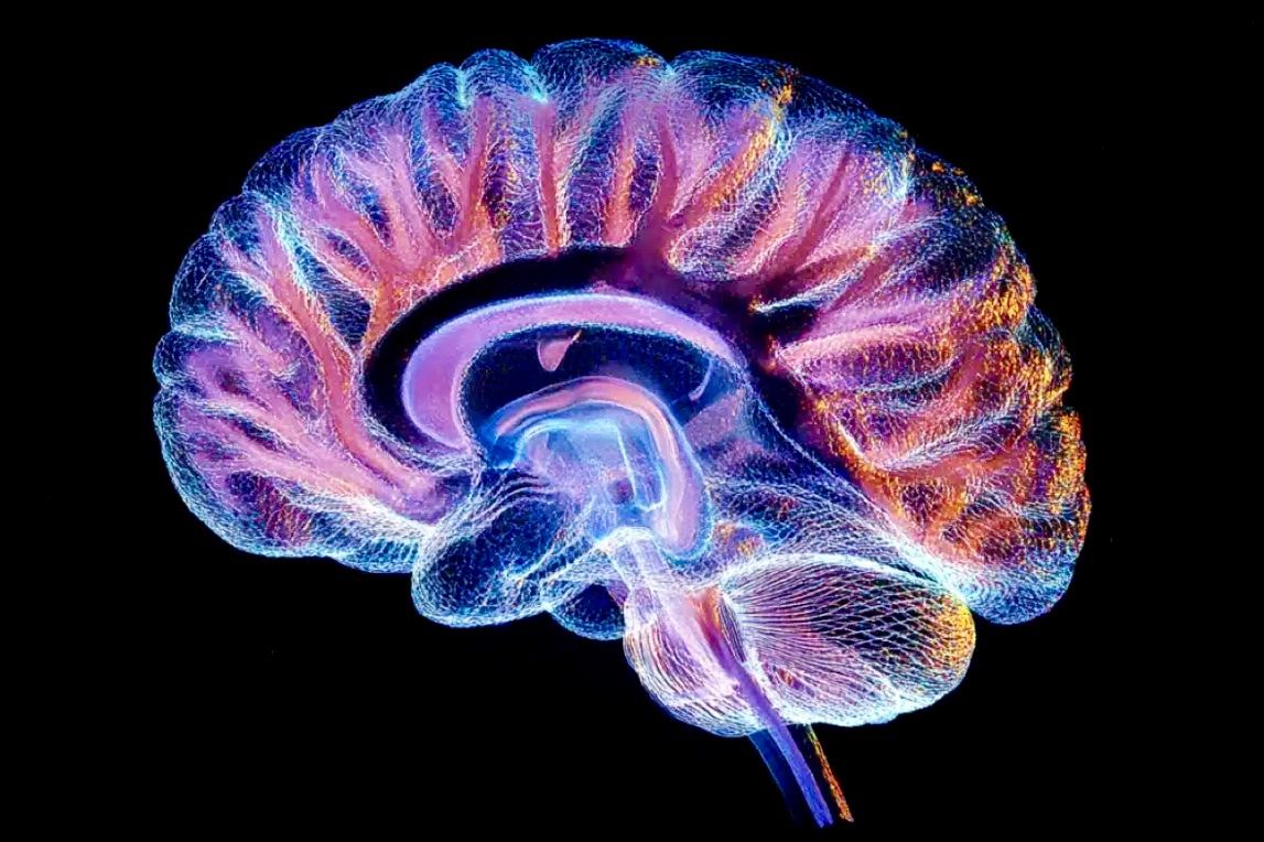 Eveline Ruehlin on LinkedIn: #autism #genetic #brain #images #accuracy ... Eveline Ruehlin on LinkedIn: #autism #genetic #brain #images #accuracy ...
