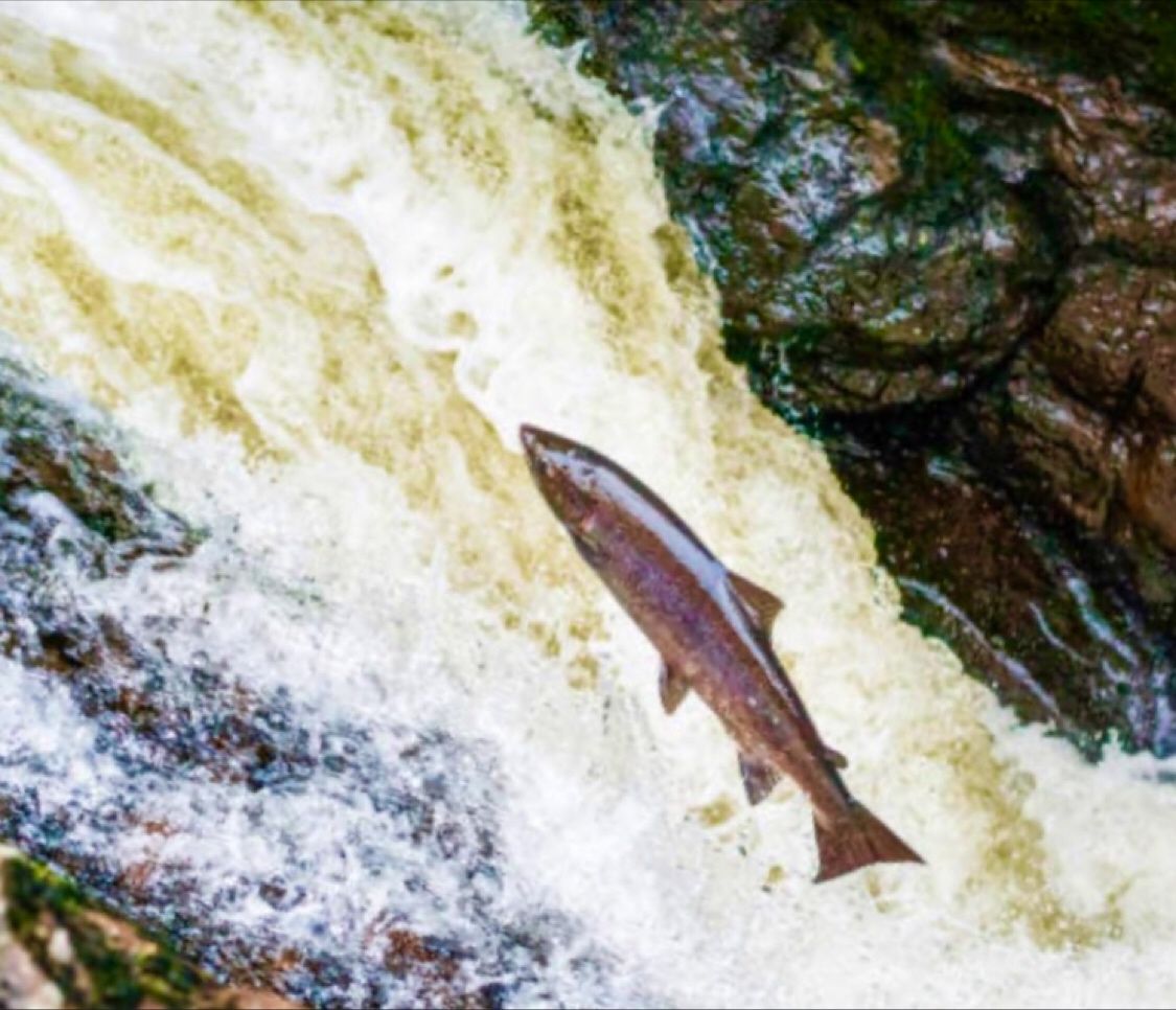 Chris Oakes on LinkedIn: A river always flows down stream. You can ... Chris Oakes on LinkedIn: A river always flows down stream. You can ...