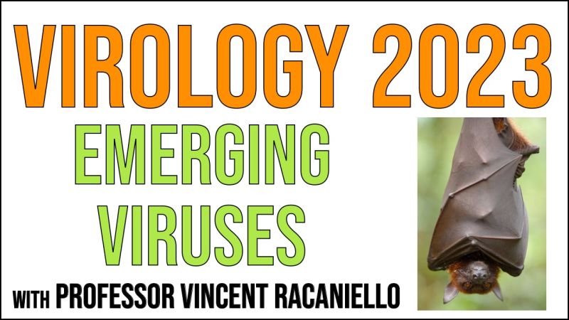 Vincent Racaniello on LinkedIn: Virology Lectures 2023 #22: Emerging ... Vincent Racaniello on LinkedIn: Virology Lectures 2023 #22: Emerging ...
