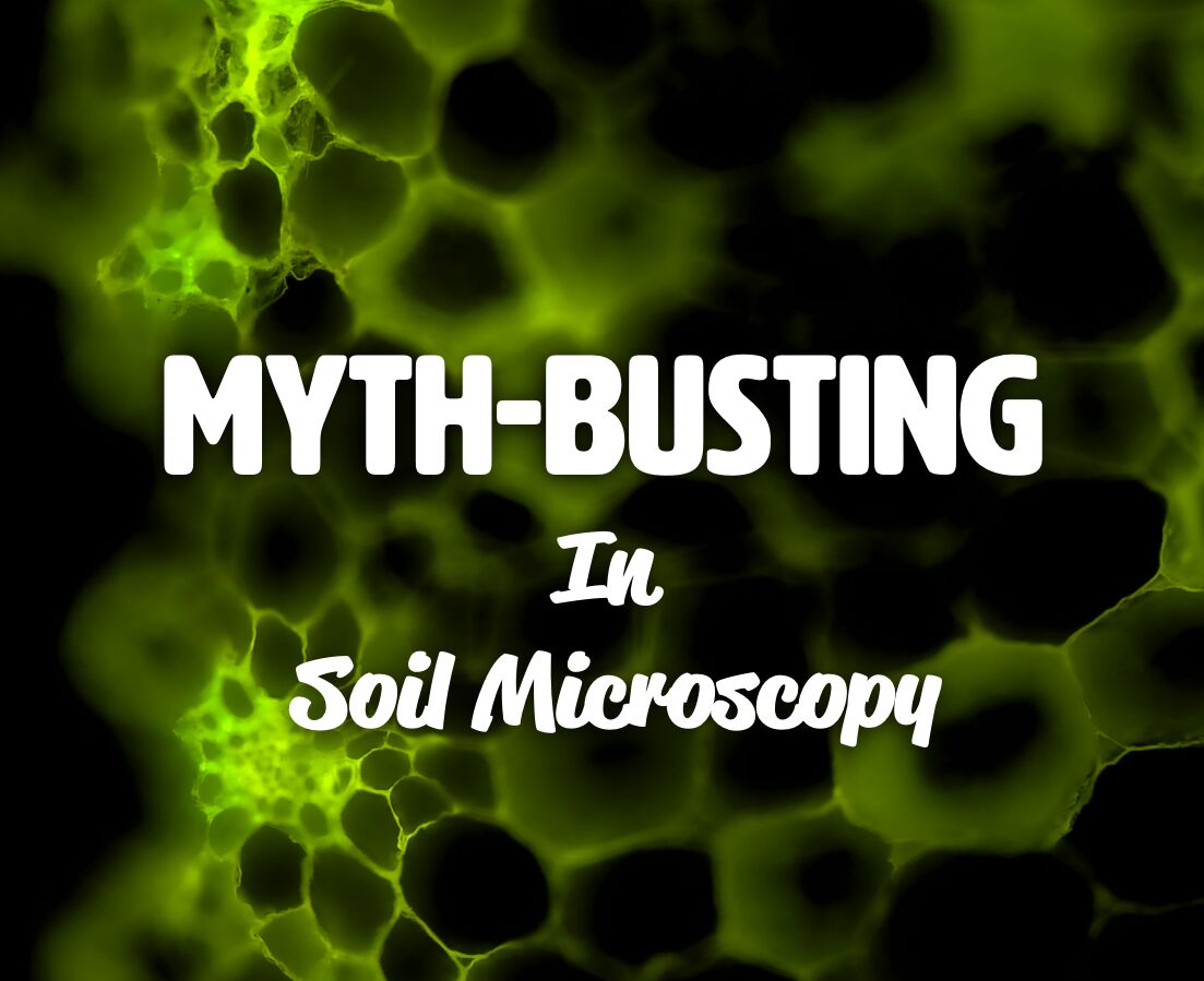 #soil #microscopy | Matt Powers #soil #microscopy | Matt Powers