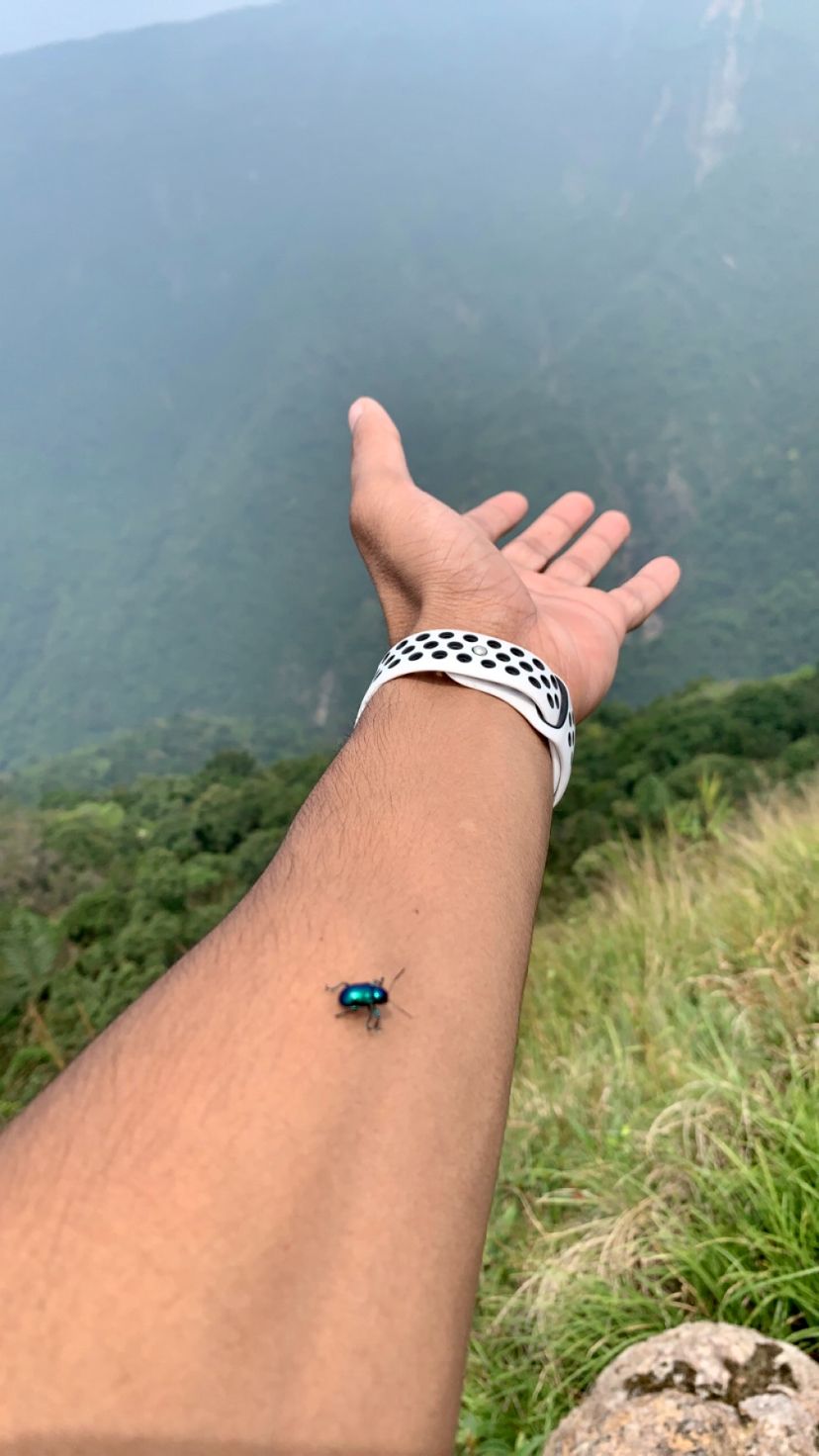 Manash Deka on LinkedIn: #bug #debug Manash Deka on LinkedIn: #bug #debug