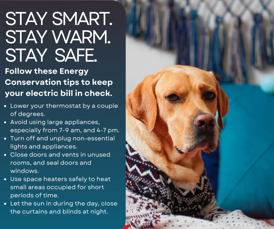 Northeast Power-NE on LinkedIn: It's going to be another cold day. Here ... Northeast Power-NE on LinkedIn: It's going to be another cold day. Here ...