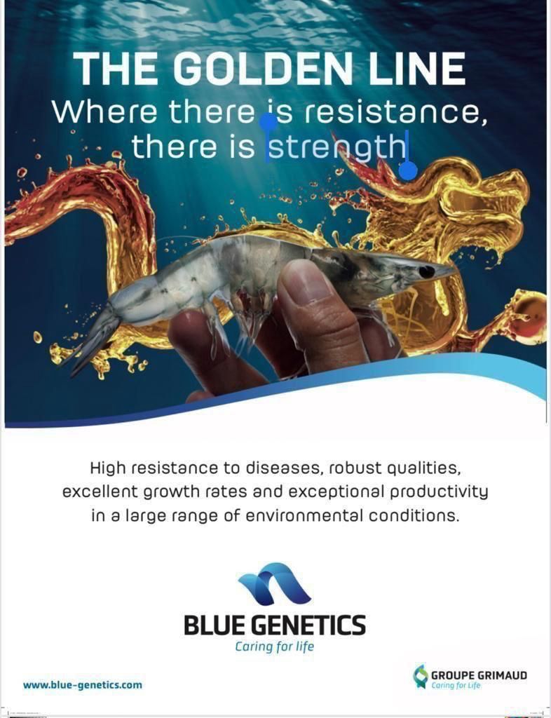 Dr.B.Sakthi Mohan Ganesh PhD on LinkedIn: Golden Line (RESISTANT LINE ... Dr.B.Sakthi Mohan Ganesh PhD on LinkedIn: Golden Line (RESISTANT LINE ...