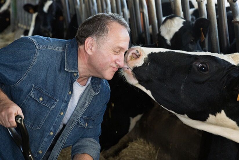 Angel Yeast Europe on LinkedIn: Enhancing Dairy Cow Nutrition ... Angel Yeast Europe on LinkedIn: Enhancing Dairy Cow Nutrition ...