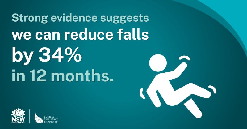 Clinical Excellence Commission's white paper on falls in NSW | Clinical ... Clinical Excellence Commission's white paper on falls in NSW | Clinical ...