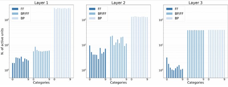 Emergent representations in networks trained with the Forward-Forward ... Emergent representations in networks trained with the Forward-Forward ...