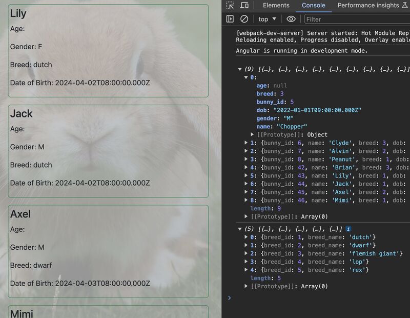 Dina Fine on LinkedIn: #angular #postgresql #problemsolving #data # ... Dina Fine on LinkedIn: #angular #postgresql #problemsolving #data # ...