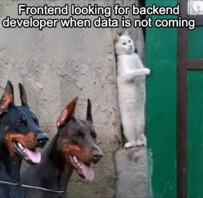 Angad Kapoor on LinkedIn: #frontend #backend #developer #api #meme #node Angad Kapoor on LinkedIn: #frontend #backend #developer #api #meme #node