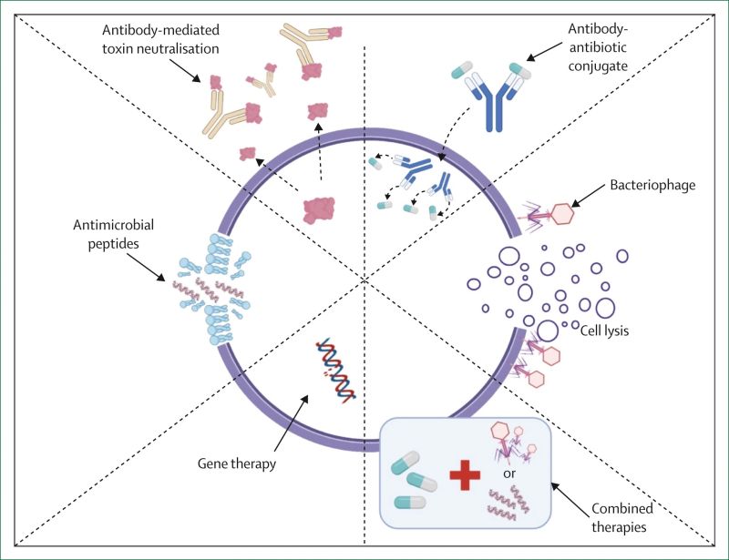 Emerging therapies for tackling AMR | Muhammad Inam Emerging therapies for tackling AMR | Muhammad Inam