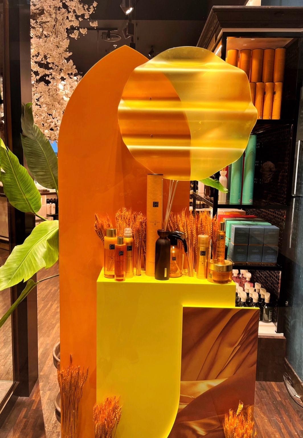 How window merchandising shapes a retail space | Bharti Vashisth posted ... How window merchandising shapes a retail space | Bharti Vashisth posted ...