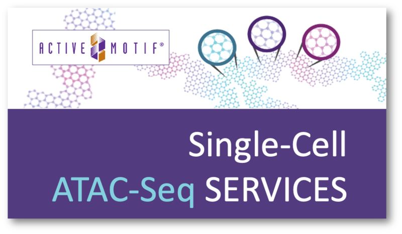 Active Motif on LinkedIn: #singlecell #atacseq #merck #sanofi # ... Active Motif on LinkedIn: #singlecell #atacseq #merck #sanofi # ...