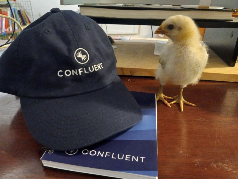 Aaron B. on LinkedIn: #data #swag #networking #dataengineering | 14 ... Aaron B. on LinkedIn: #data #swag #networking #dataengineering | 14 ...