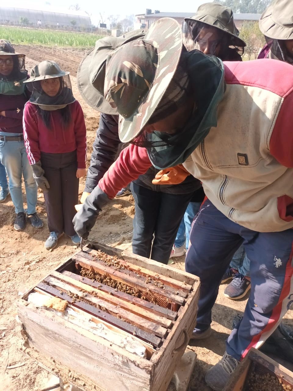 #apiculture #beekeeping #sustainability #honeybees #pollinators… | Ayon ... #apiculture #beekeeping #sustainability #honeybees #pollinators… | Ayon ...