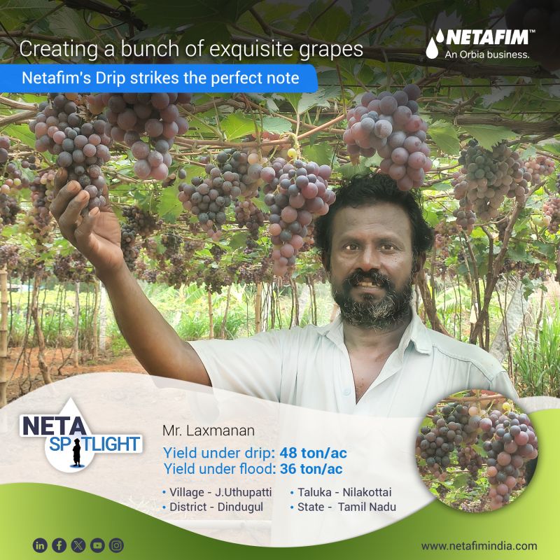 Netafim Irrigation India Pvt Ltd. on LinkedIn: #netafim #netafimindia # ... Netafim Irrigation India Pvt Ltd. on LinkedIn: #netafim #netafimindia # ...