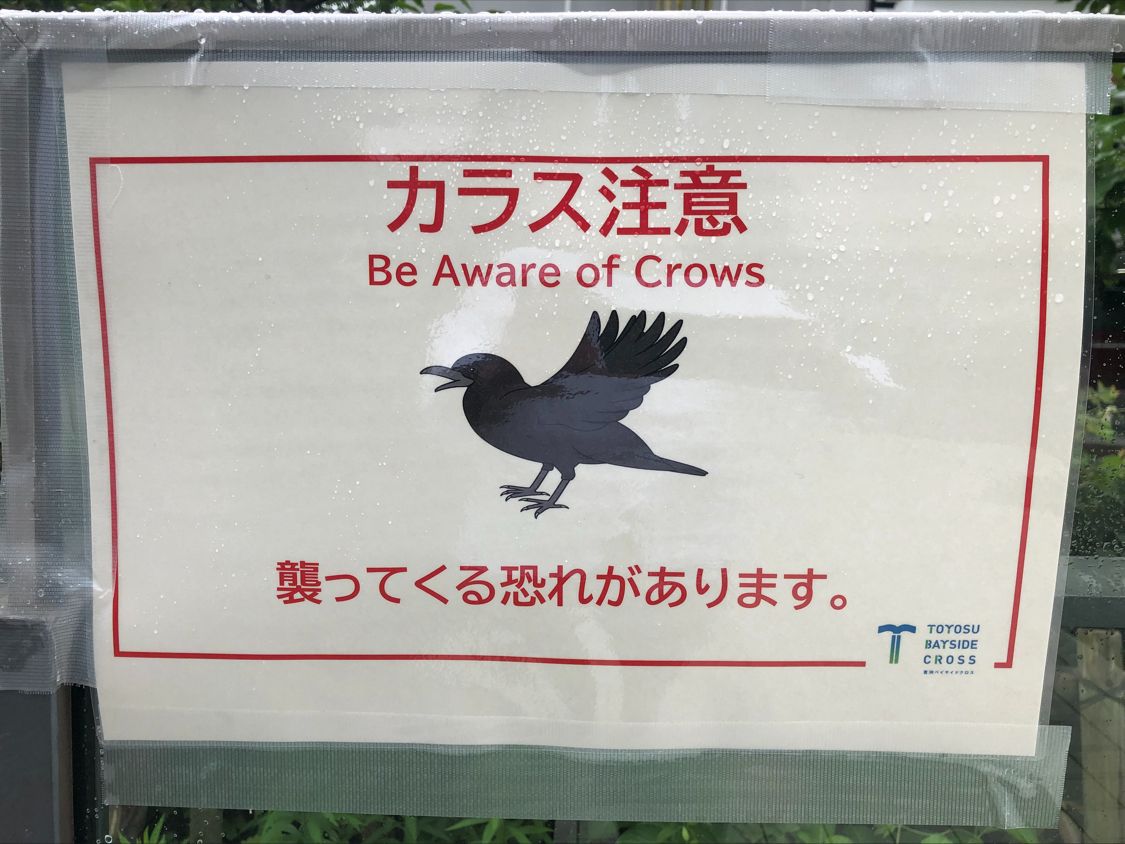 David Tedone on LinkedIn: #urbanwildlife #tokyocrows #quoththeraven # ... David Tedone on LinkedIn: #urbanwildlife #tokyocrows #quoththeraven # ...