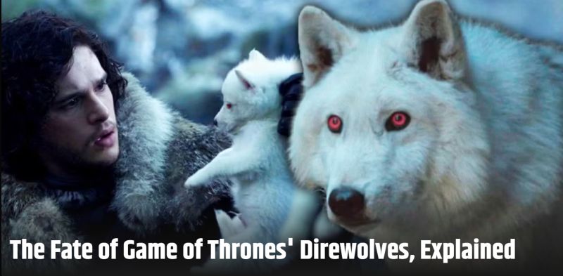 #gameofthrones #direwolf #deextinction #marketingstrategy #technews ... #gameofthrones #direwolf #deextinction #marketingstrategy #technews ...